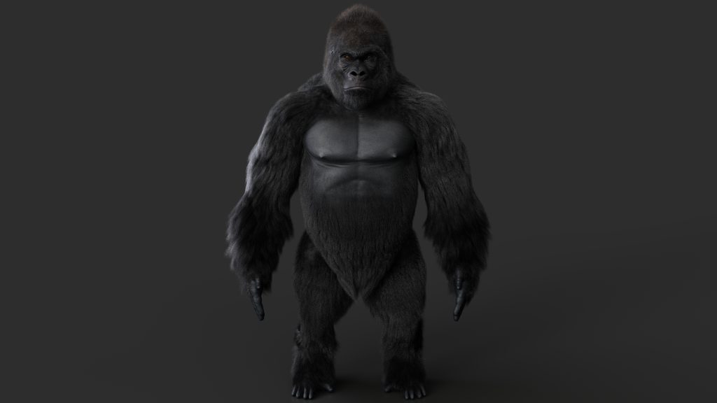 Gorilla Rigged Online | Buy Gorilla Models Online