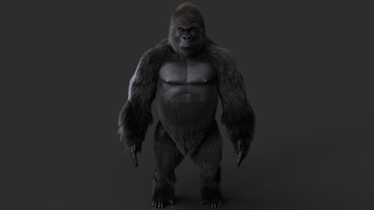 Gorilla Rigged Online | Buy Gorilla Models Online