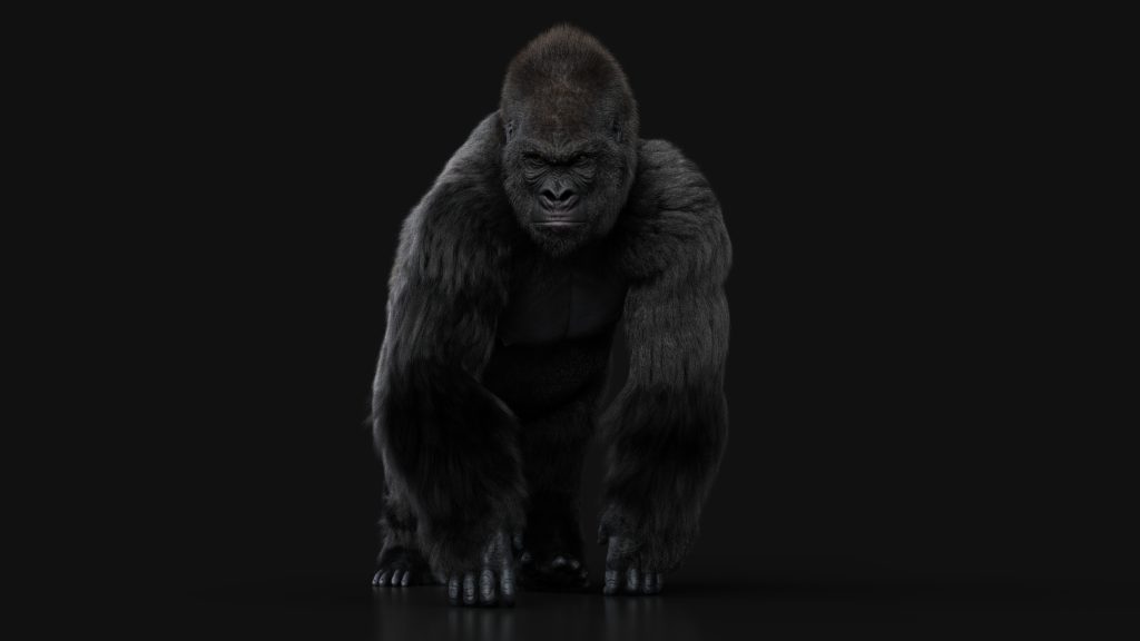 Gorilla Rigged Online | Buy Gorilla Models Online