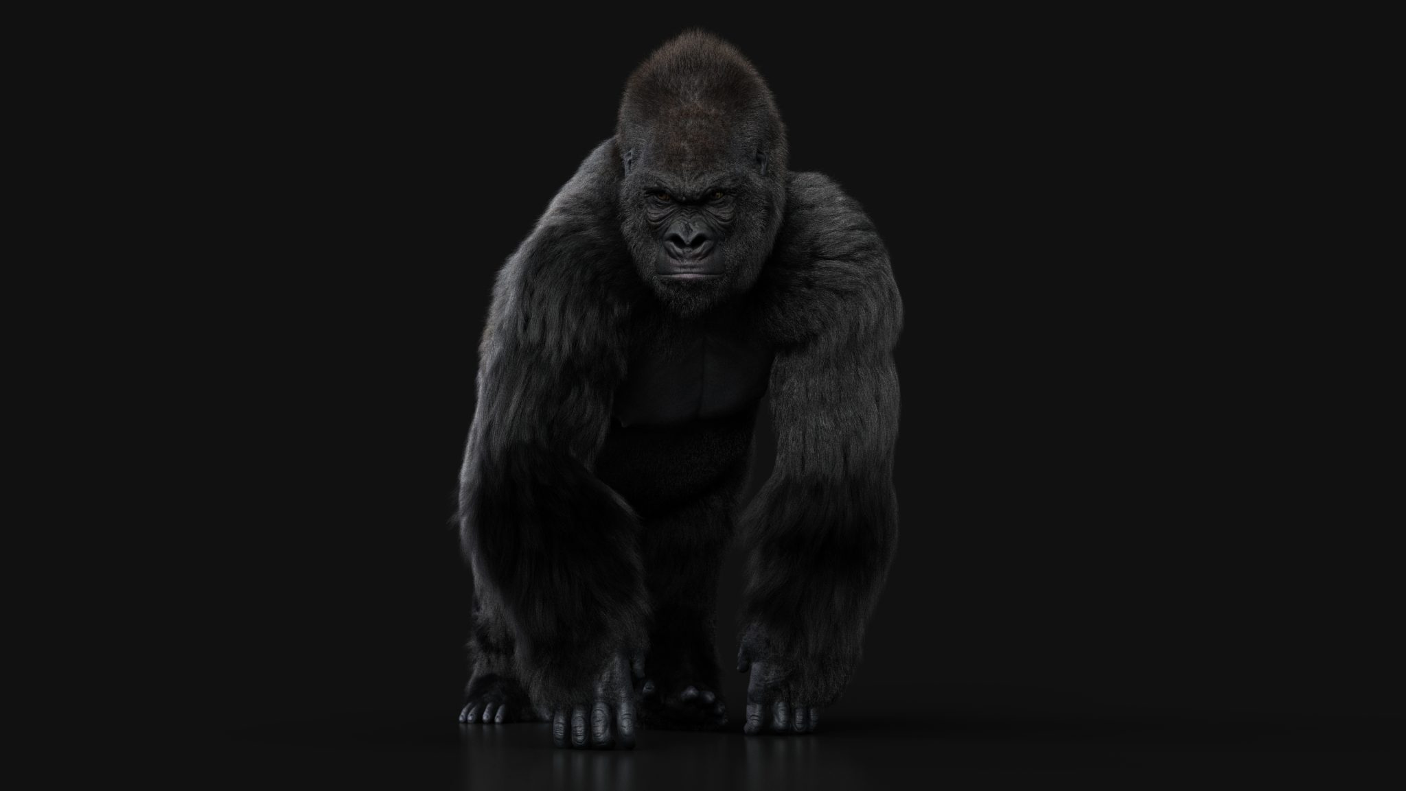Gorilla Rigged Online | Buy Gorilla Models Online