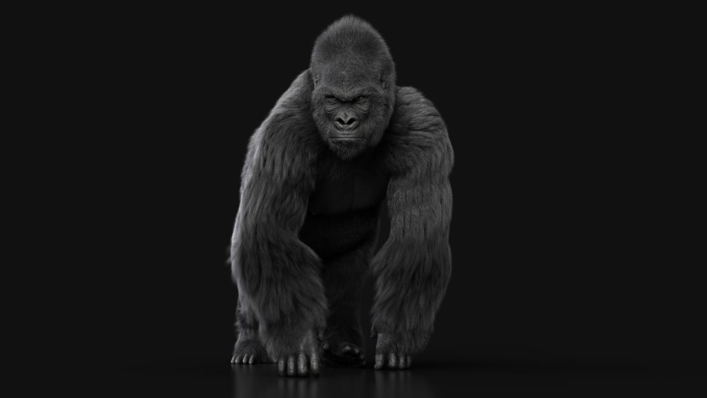 Gorilla Rigged Online | Buy Gorilla Models Online