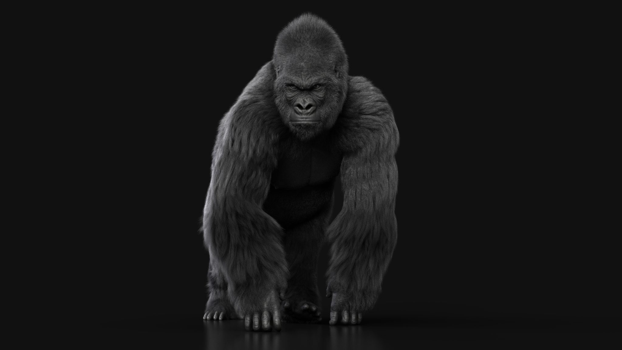 Gorilla Rigged Online | Buy Gorilla Models Online