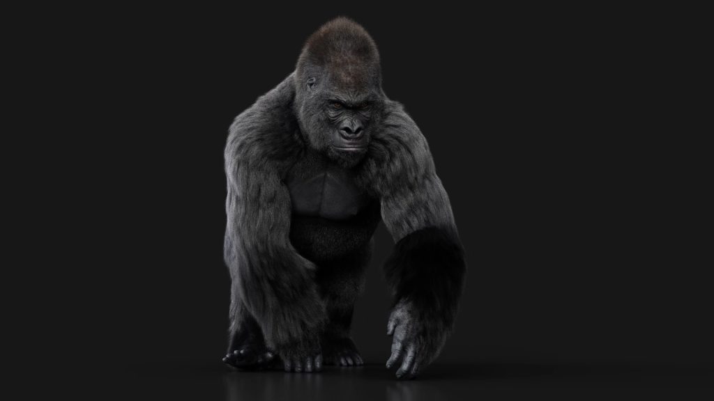 Gorilla Rigged Online | Buy Gorilla Models Online