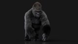 Gorilla Rigged Online | Buy Gorilla Models Online