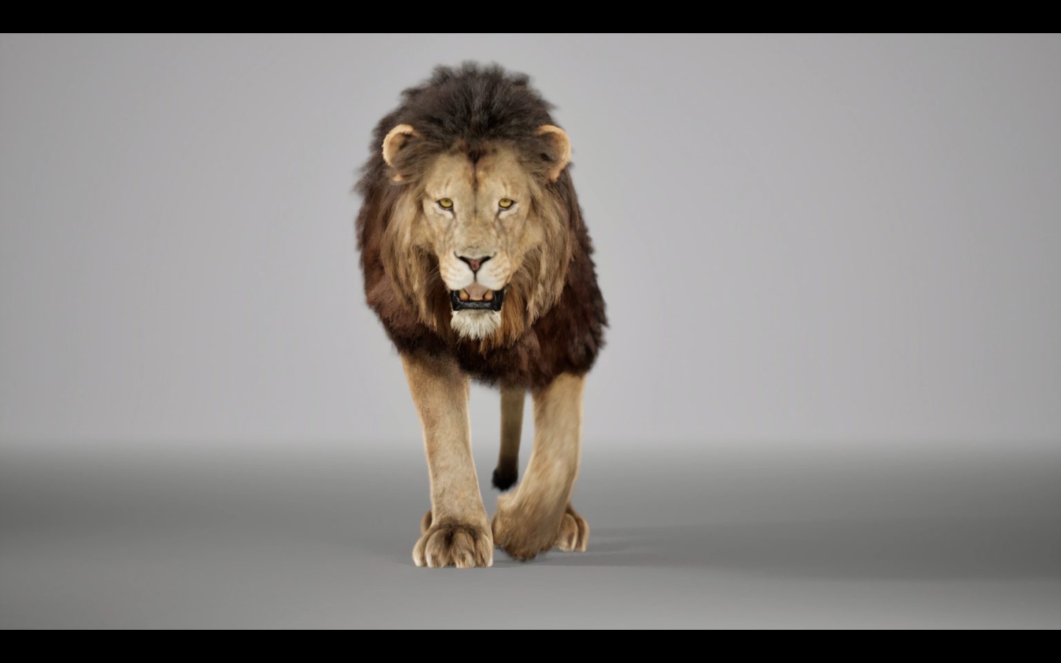 Lion Animated online | Buy 3D Models Online