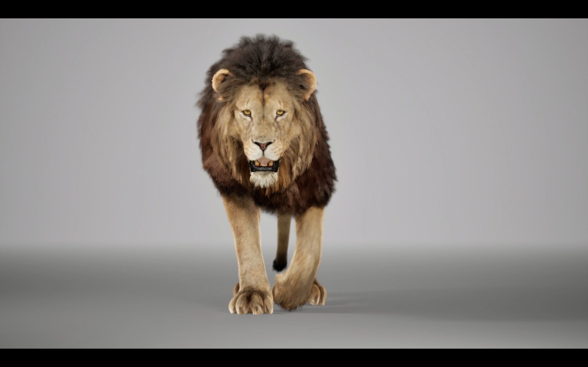Lion Animated online | Buy 3D Models Online