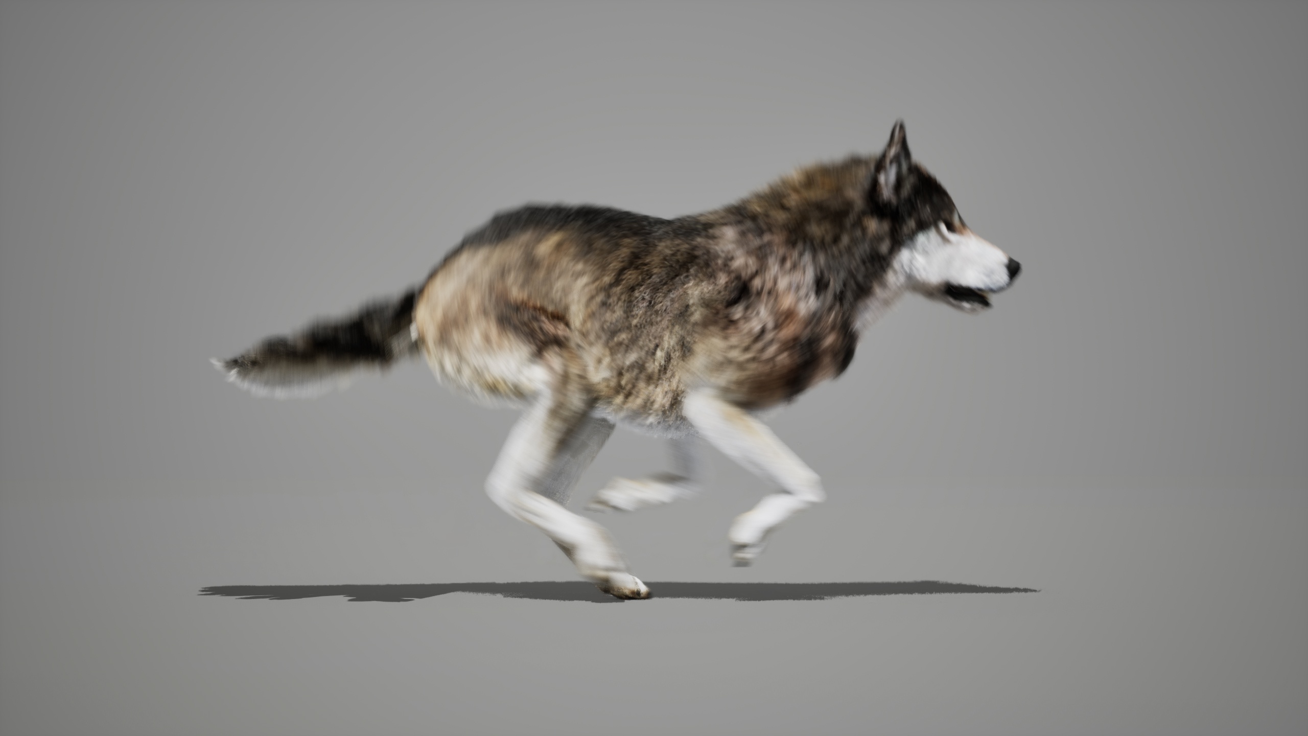 Wolf Pack Animated Unreal Online | Buy 3D Models Online