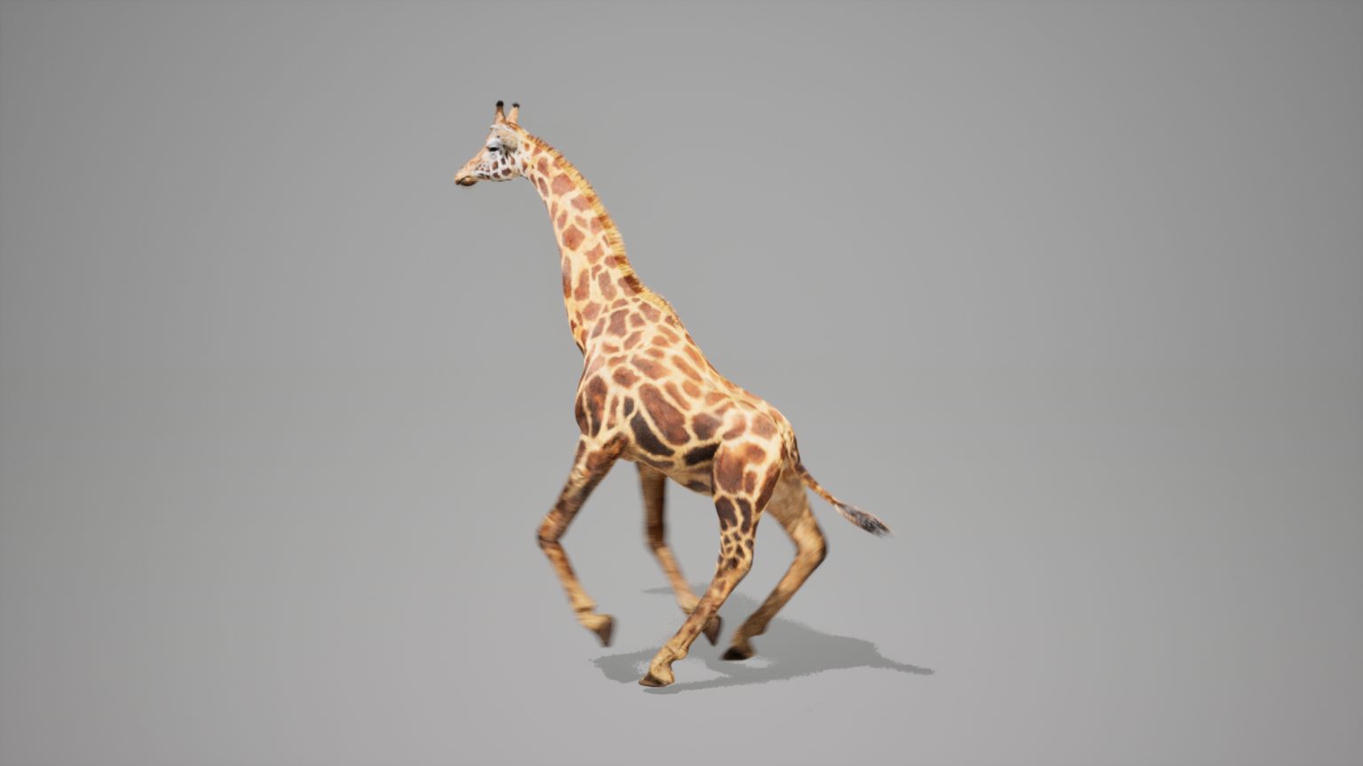 Giraffe Animated Online | Buy 3D Models Online