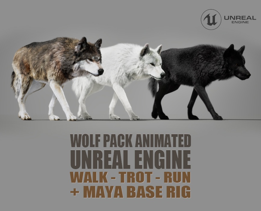 Wolf Pack Animated Unreal Online | Buy 3D Models Online