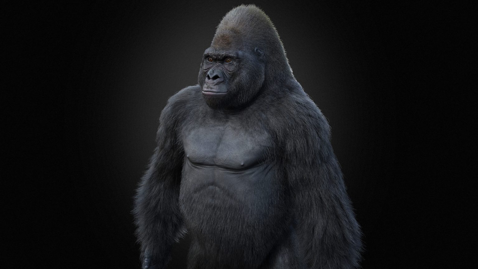 Gorilla 3D Models | Animal 3d Models