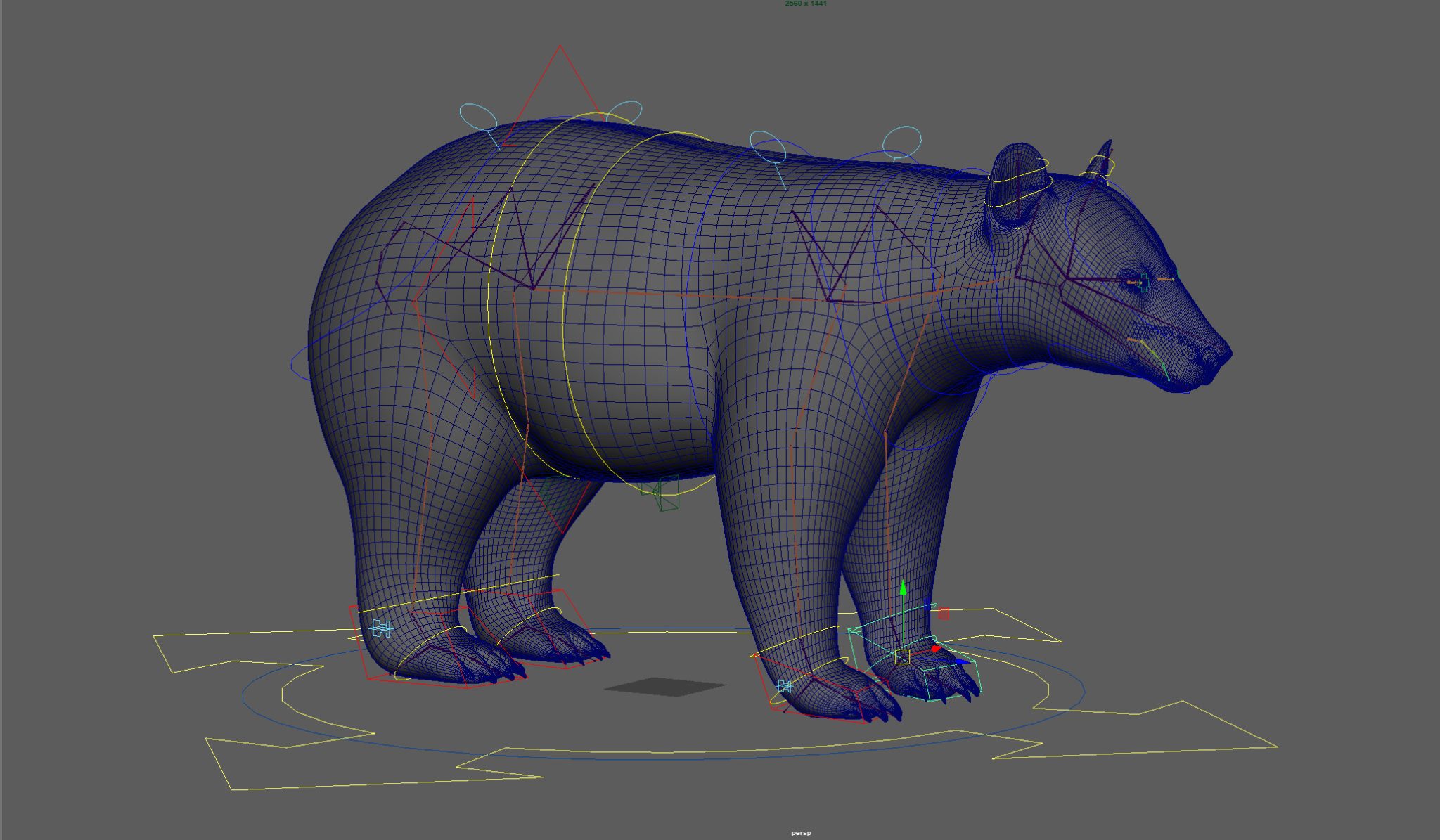 Black Bear 3D Models | Animal 3d Models
