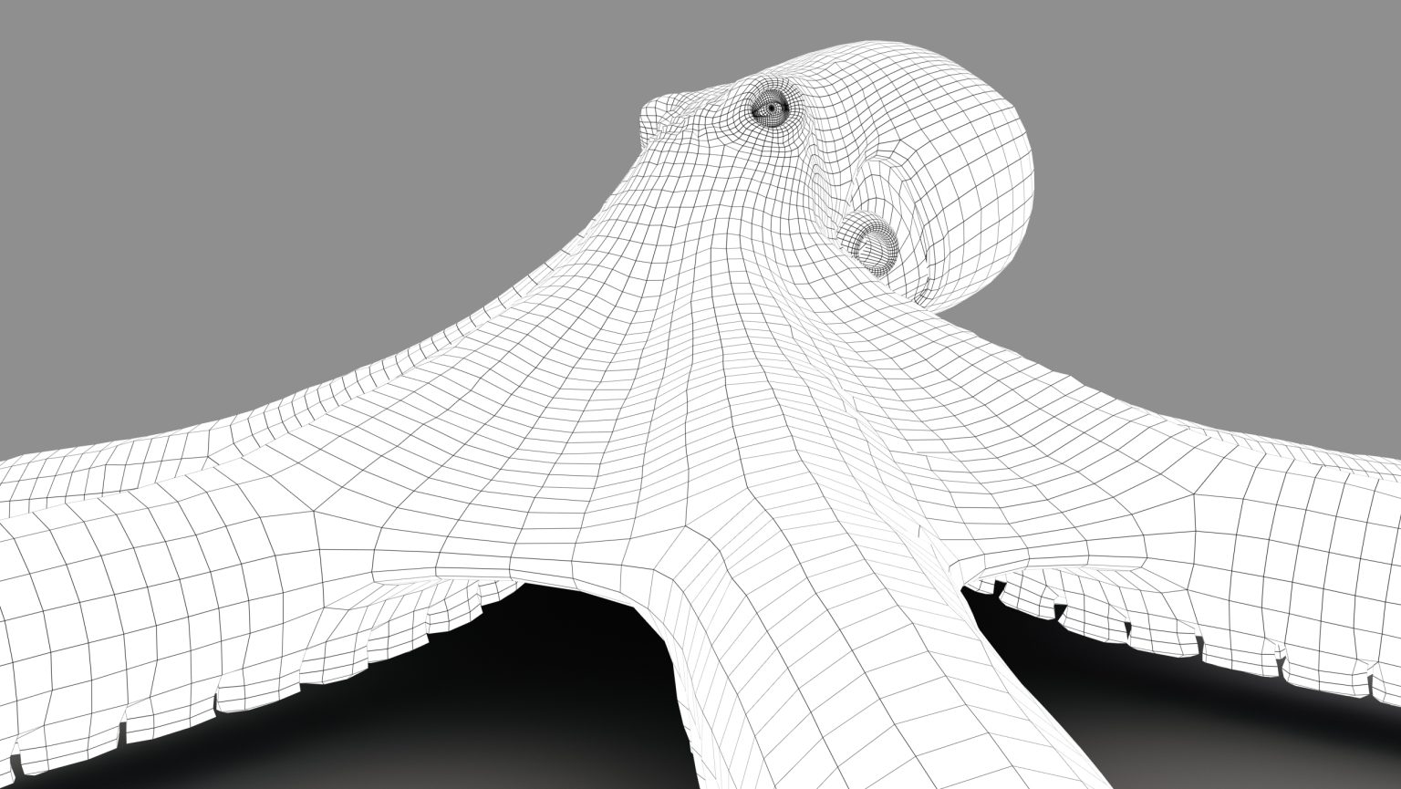 Giant Octopus 3D Models | Animal 3d Models