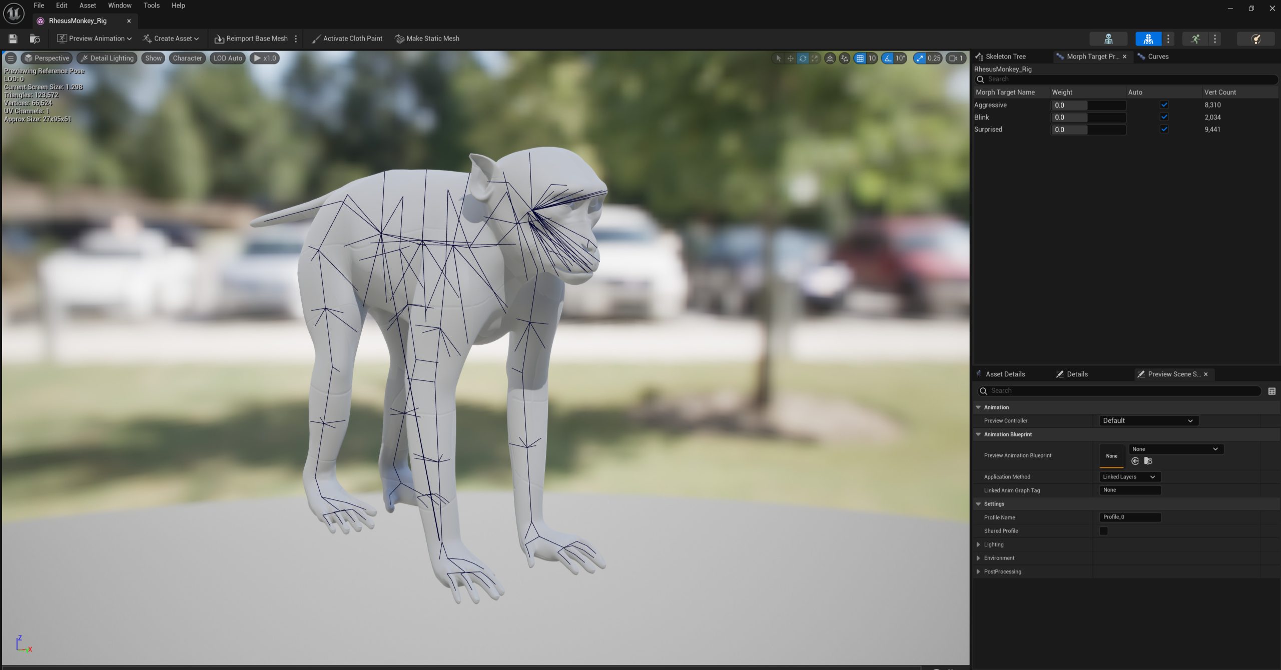 Rhesus Monkey 3D Models | Animal 3d Models
