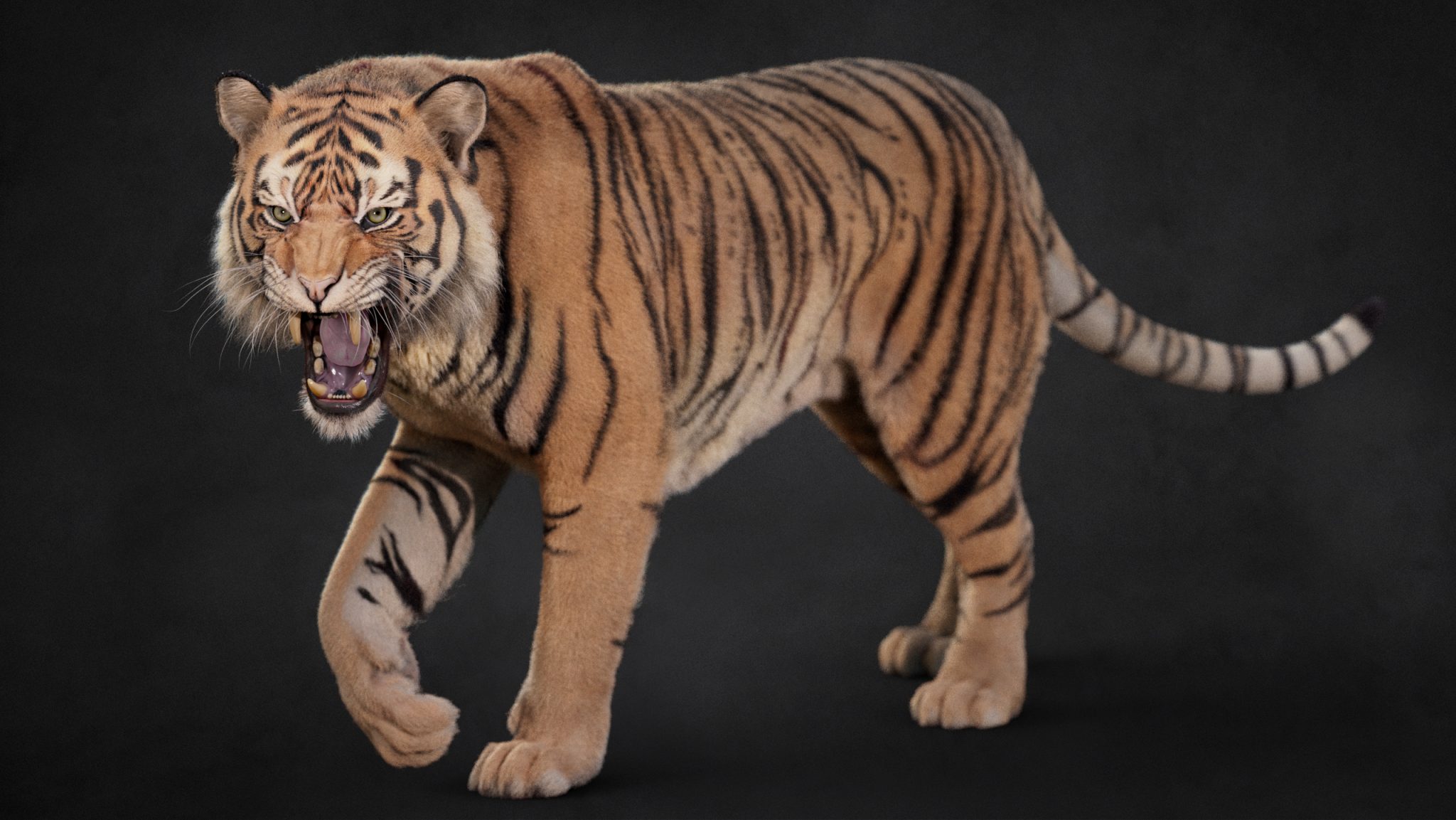 Tiger 3D Models | Animal 3d Models
