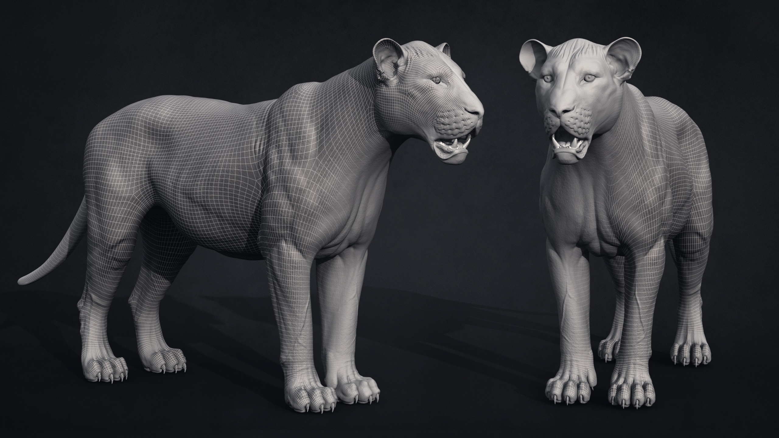 Lion Sculpt - Massimo Righi