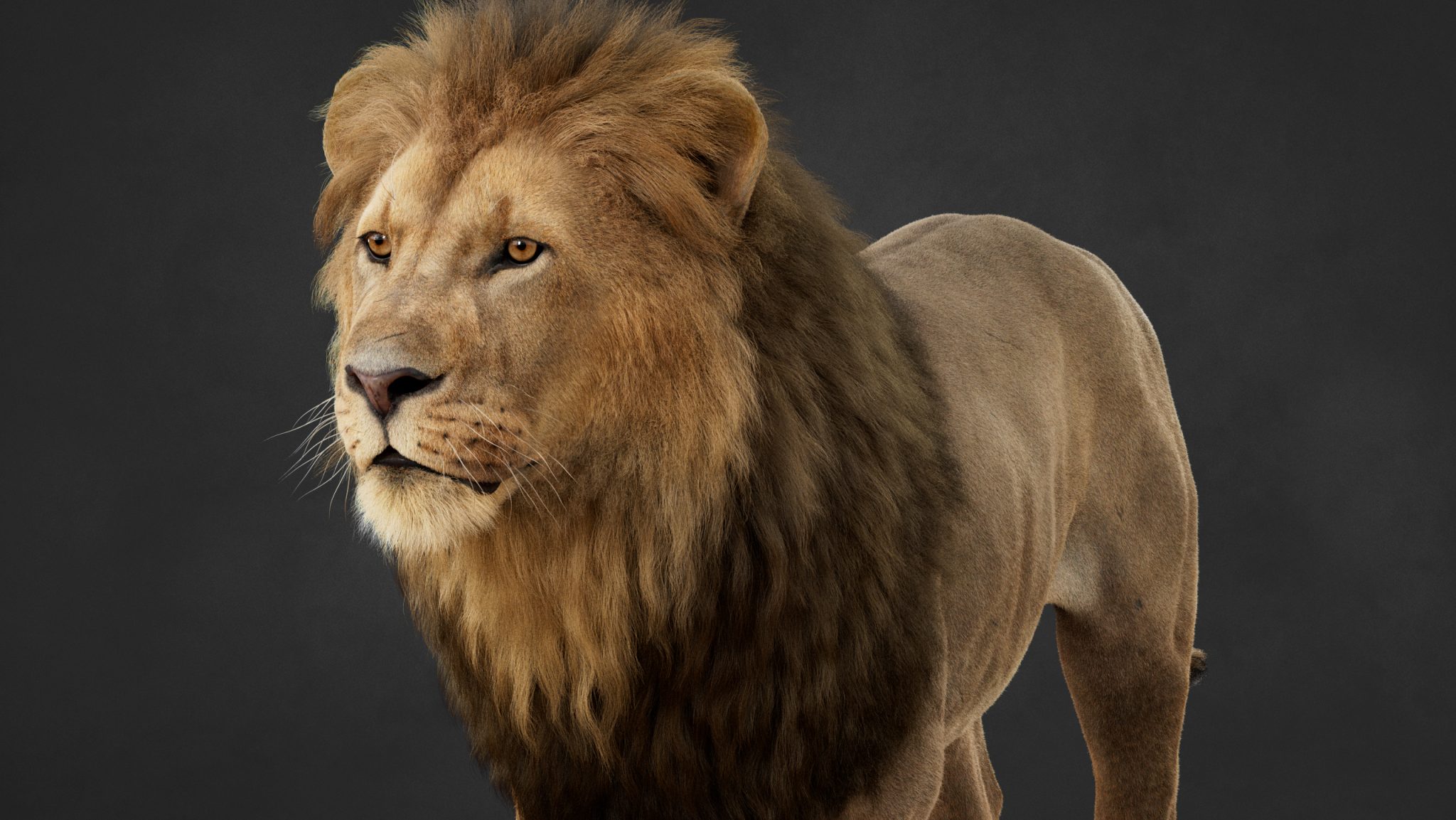 Lion 3D Models | Animal 3d Models