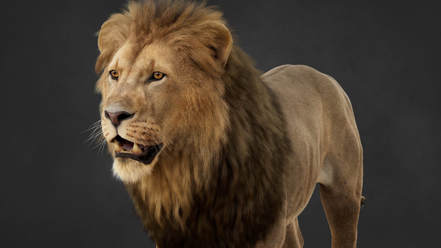 Lion 3D Models | Animal 3d Models